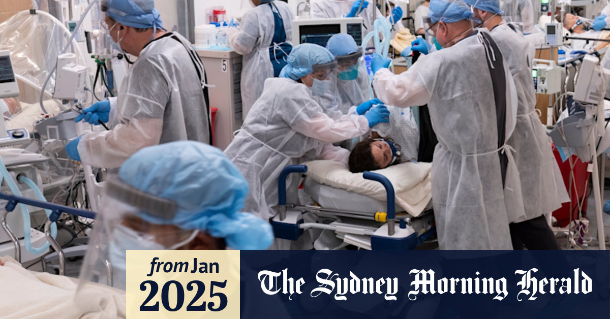 TV previews: From The Pitt to Cunk on Life, a Jerry Springer reckoning ...