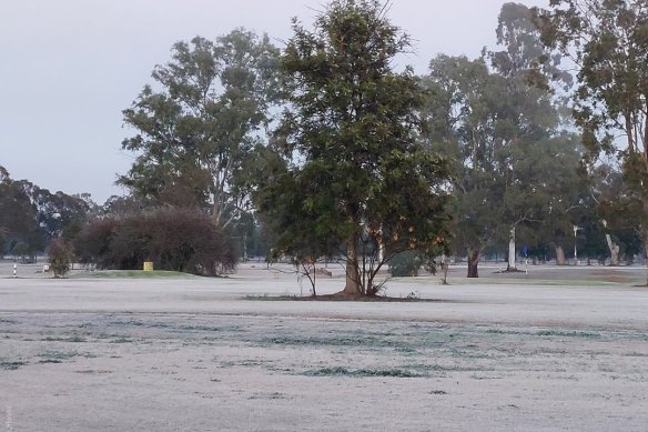 SEQ cold to continue despite predicted rise in temperature this week