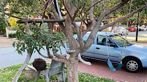 Perth | Local News, Weather, Traffic, Guides & Opinion | WA Today