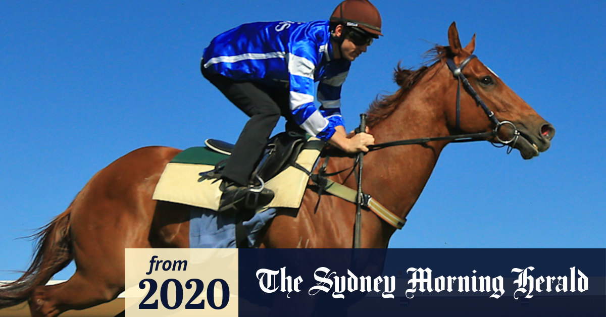 'He just keeps doing everything right': Gytrash ready for The Everest