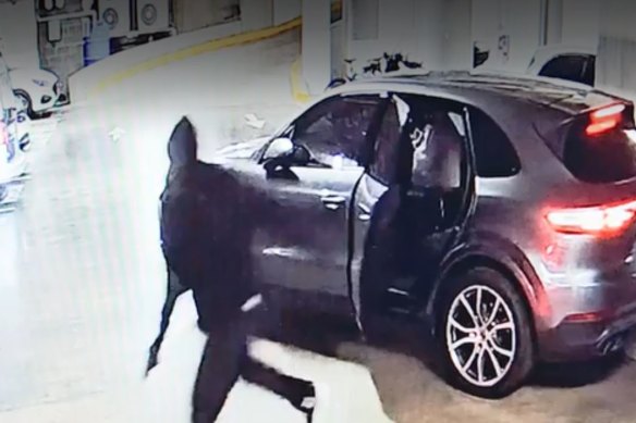 Alleged hitman arrest for allegedly killing cocaine kingpin and ...