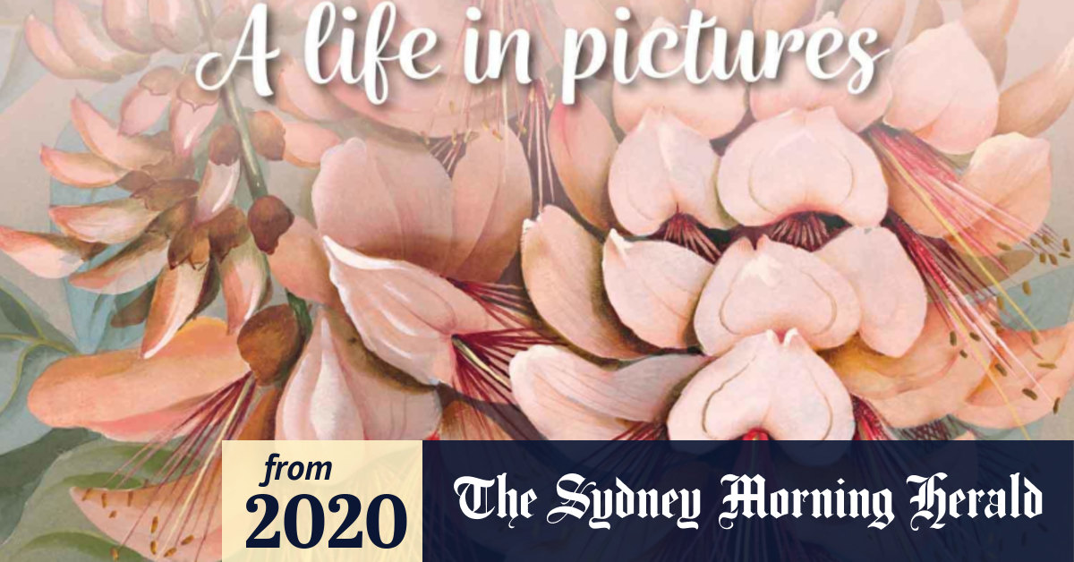 Non-fiction reviews: Ellis Rowan and three other titles.