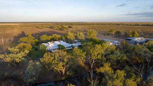 Carrigan family sell Welbon sheep station in Moree region for $33m ...