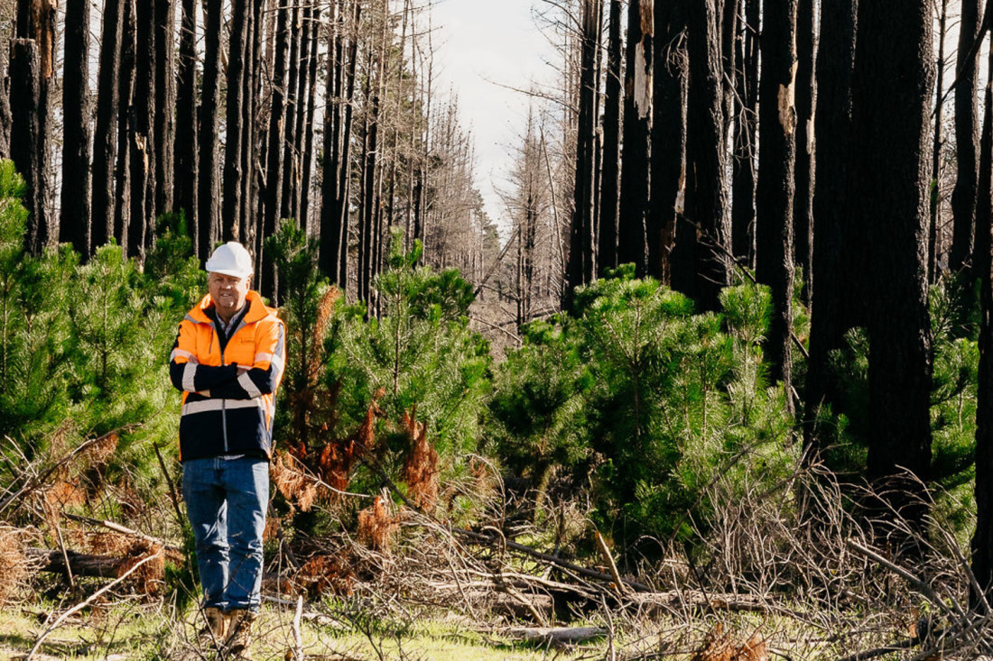 Kiland’s 87 per cent owned Nobrac is developing the world’s largest ...