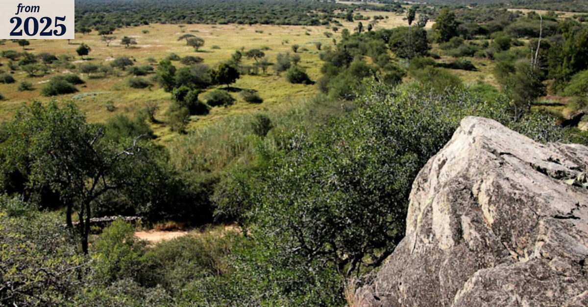 Golden Deeps doubles down in Namibia with critical metals play