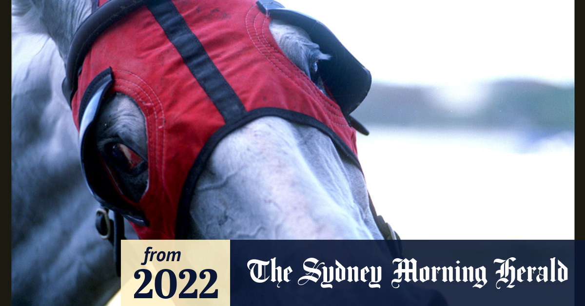 Racing 2022: Full preview and tips for Monday meeting at Wagga Riverside