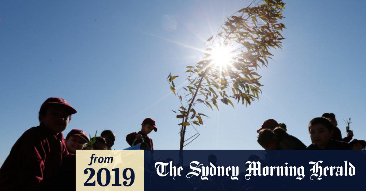 'Complete rort': Labor slams $22 million Coalition environment program