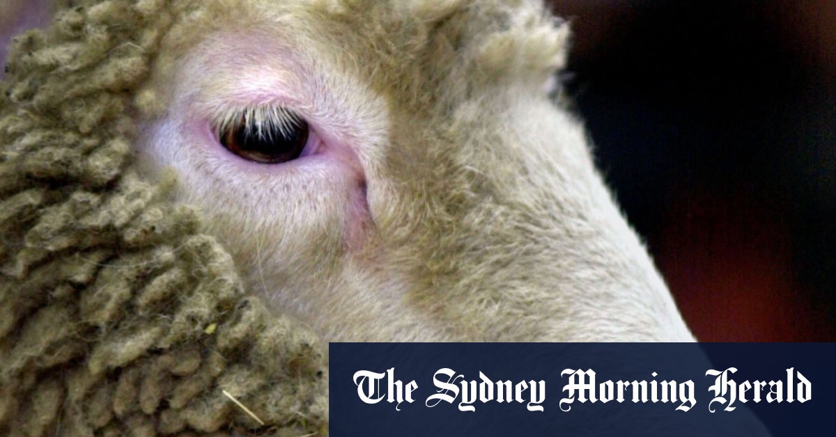 Dolly the sheep scientist Ian Wilmut dies aged 79