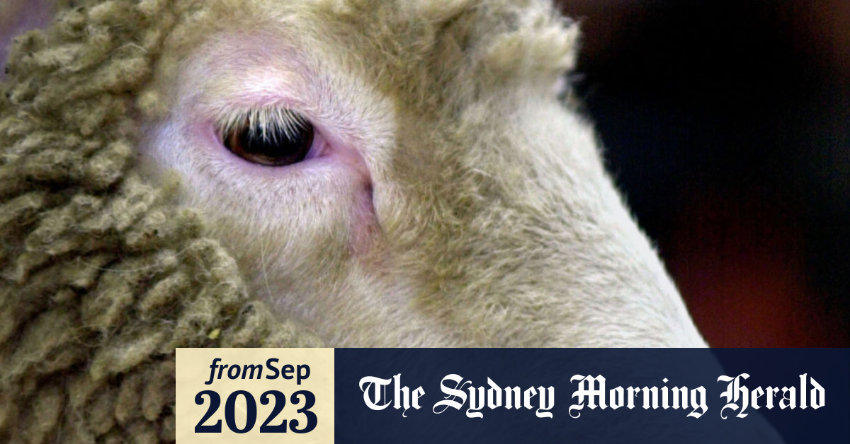 Dolly the sheep scientist Ian Wilmut dies aged 79