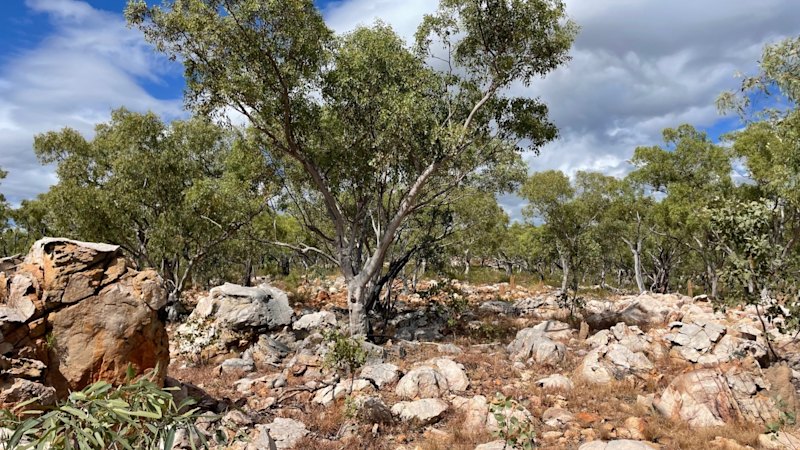 DevEx, Barkly map kilometre-scale NT uranium targets