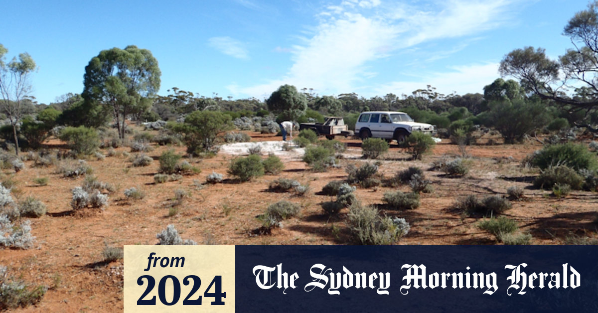 Lincoln review puts SA graphite in electric vehicle frame