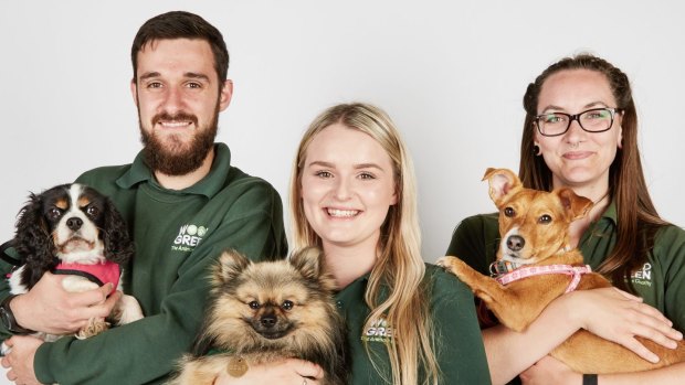 When it comes to pet shows, TV has mostly gone to the dogs