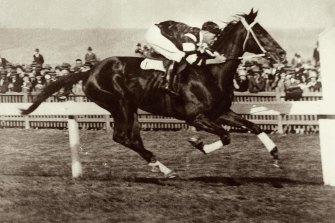 Killing Phar Lap: ‘Fake’ heart DNA tested amid battle to solve mystery ...