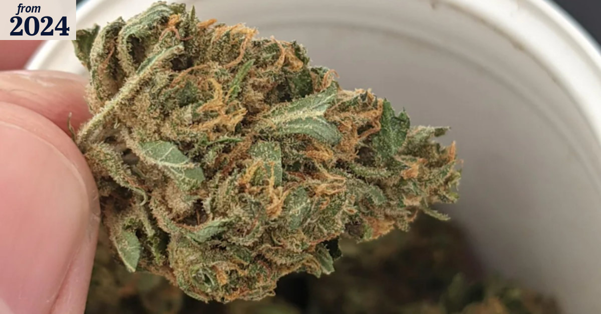The Age wins court battle against Montu over cannabis investigation