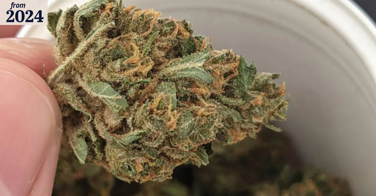 Seven-minute scripts: How top cannabis company encourages quick ...
