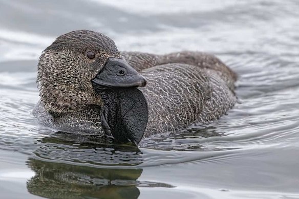 The top 10 science stories of 2021