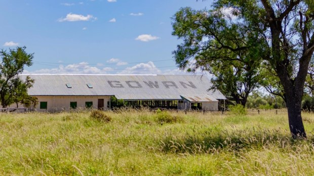 Former QIC boss Damien Frawley puts Qld cattle station on the market