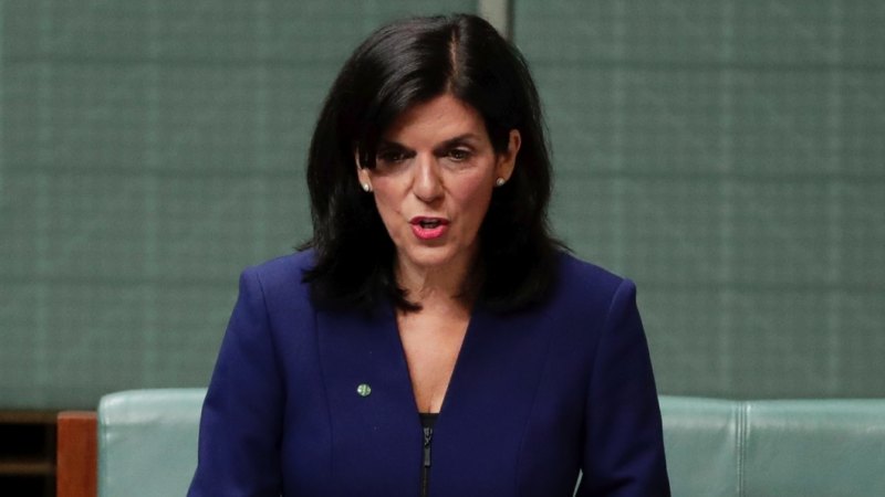 Liberal Party's women being held back by John Howard-era views: Julia Banks