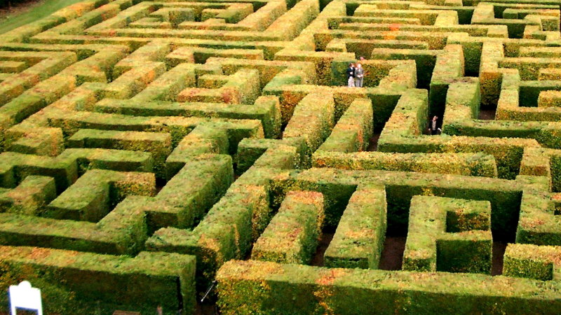 Hedge maze, beer garden are latest ideas for Brisbane's 'Central Park'