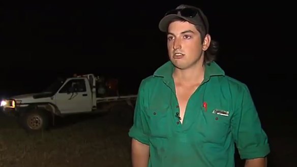 'Not serious': Fury after man gets 42 days' jail for mowing down emus