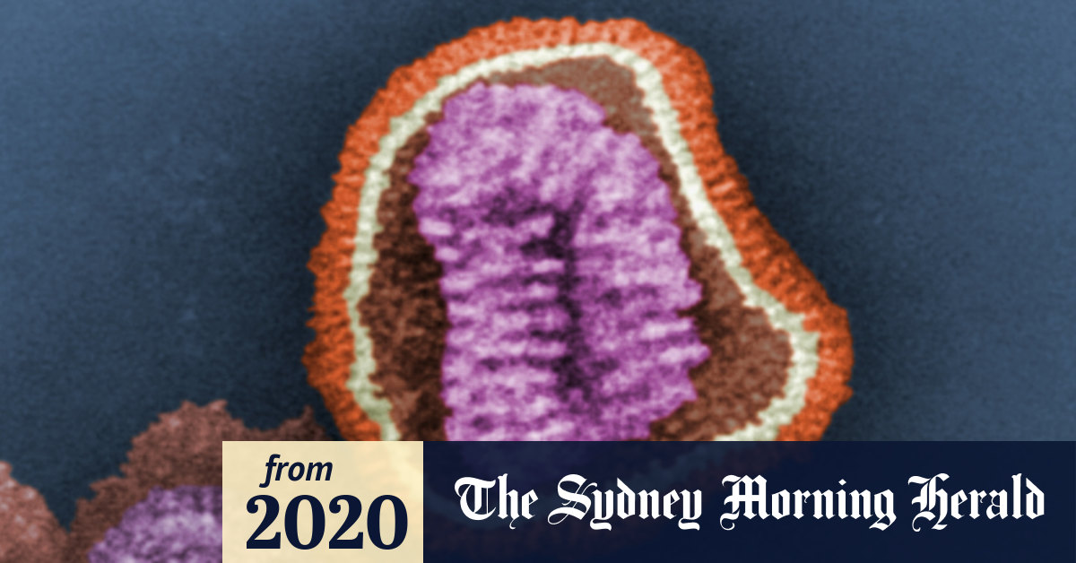 Flu season that looked like 'a big one' beaten by hygiene, isolation