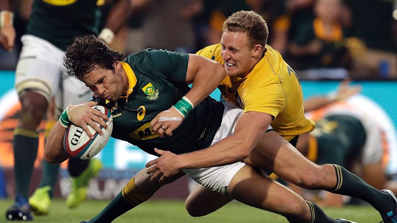 Pressure on Springboks to back up All Blacks victory: Hodge