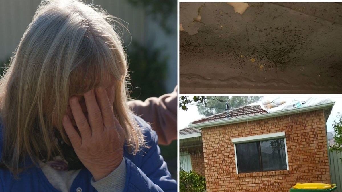 Lily's home was damaged by a truck. Ten years later, her insurer still ...