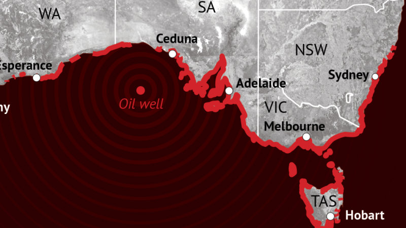 'Catastrophe': Bight oil spill could reach NSW coast, leaked report shows