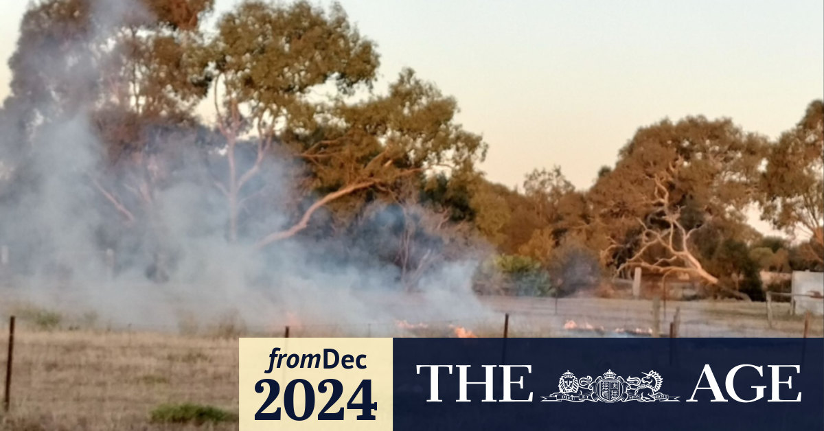 Illegal fireworks: Three grass fires caused by New Year’s revellers in ...
