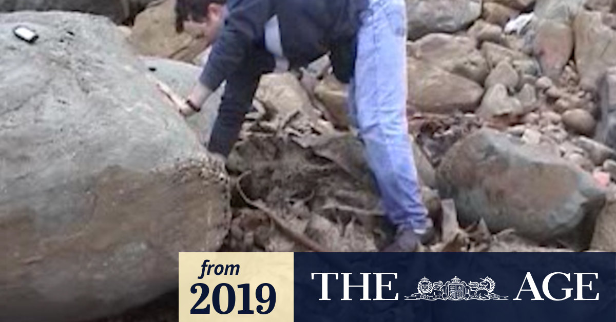 A trove of police tapes and news footage of the Pong Su case