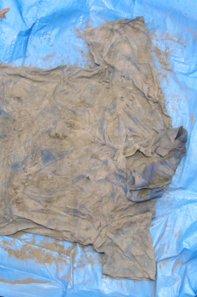 Human remains, clothes found in SEQ national park