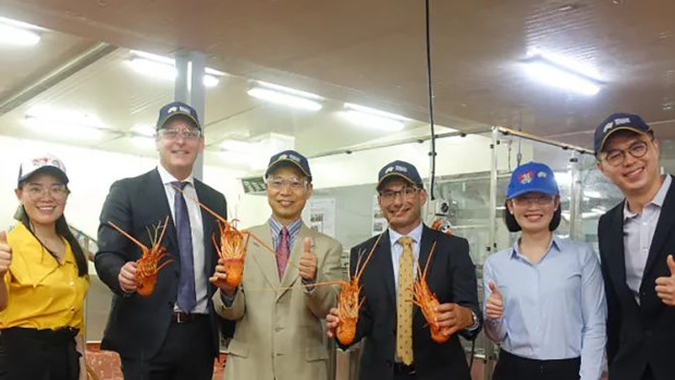 ‘Encouraging’: Australia’s lobster exporters hopeful after China’s ...