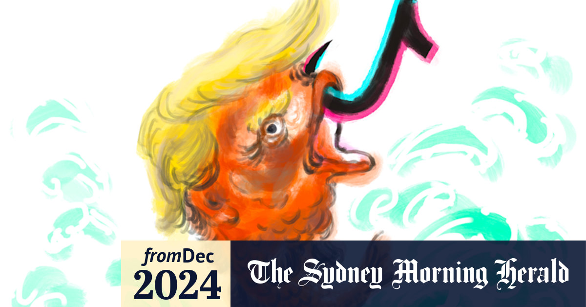 Best of cartoons, December 30, 2024