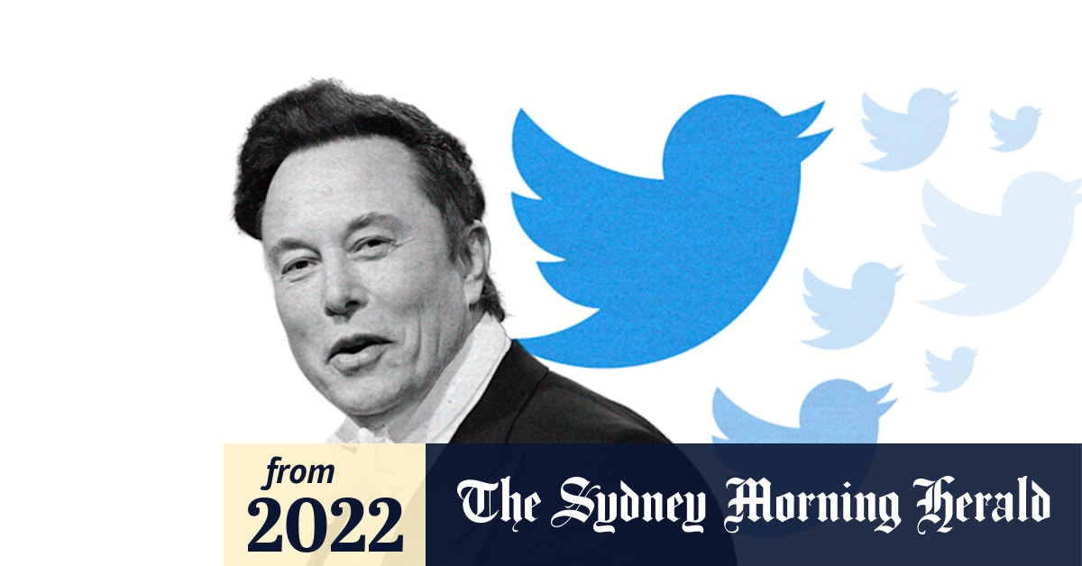 Elon Musk mulls stepping down as Twitter CEO