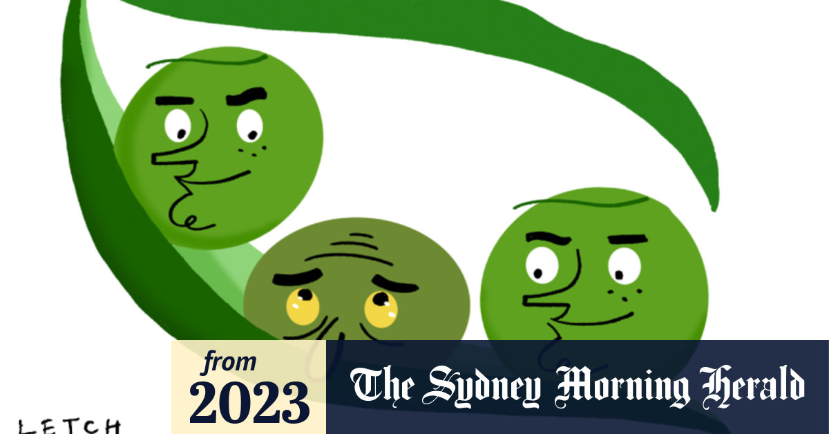 Modern Guru: Tall kids