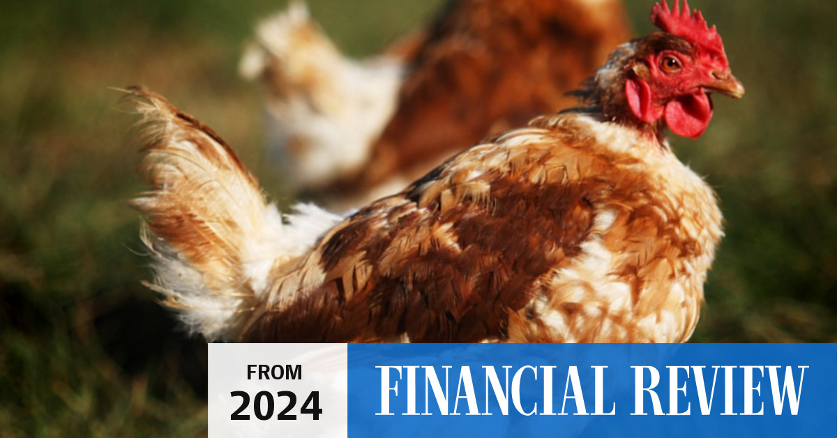 Aware Super, Roc calls in bankers at $1b No.1 chicken farmer ProTen