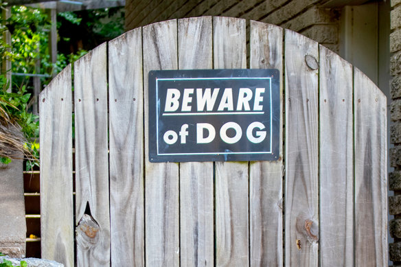 Qld owners of dangerous dogs to face jail, $100,000 fines over attacks