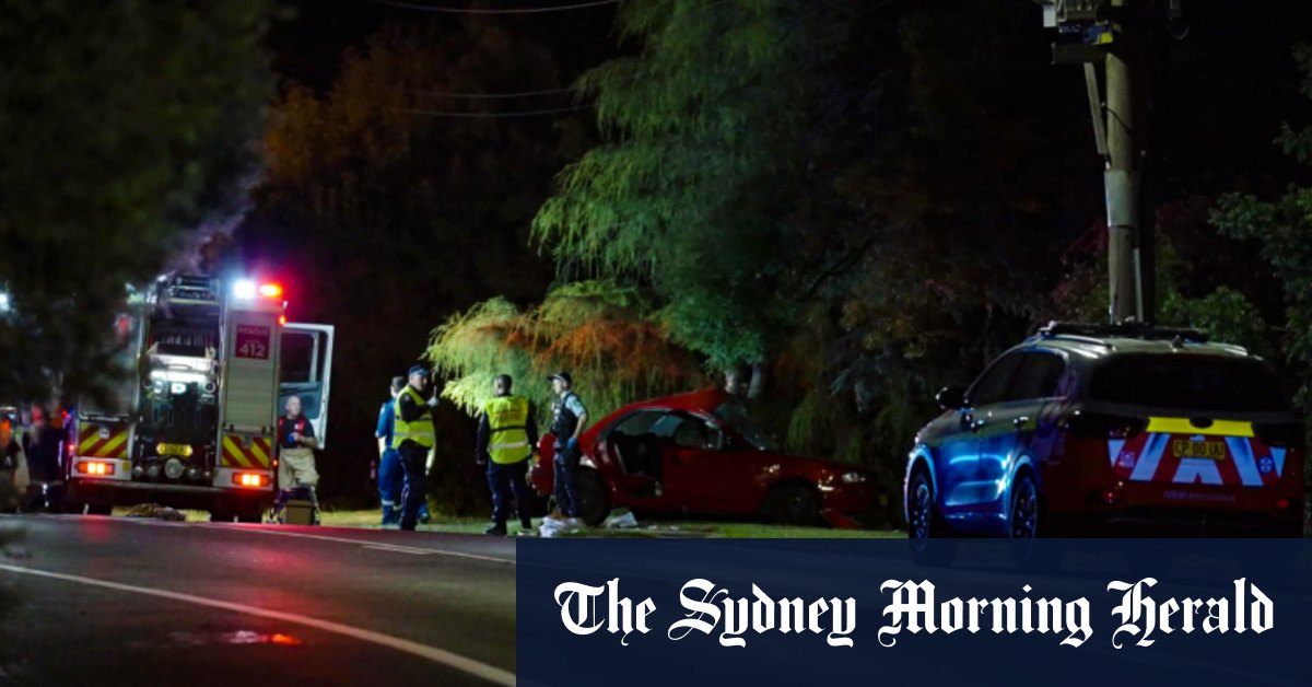 Teen fights for life after alleged drunk learner driver crashes into ...