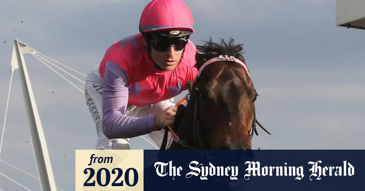 'It was over after 100 yards': Horseracing trainer Kim Waugh reveals ...