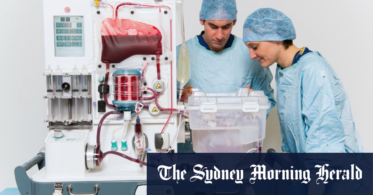 ‘Liver in a box’ set to revolutionise medical trials