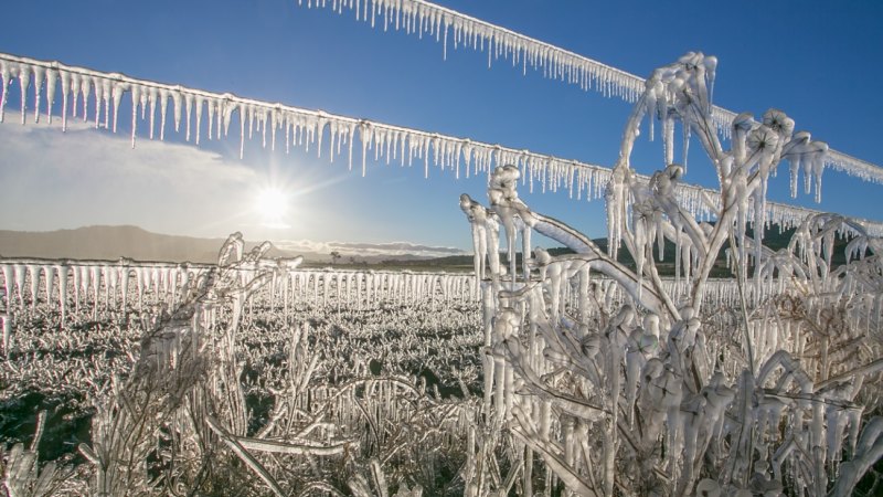 Queensland turns winter wonderland during record-breaking winter week