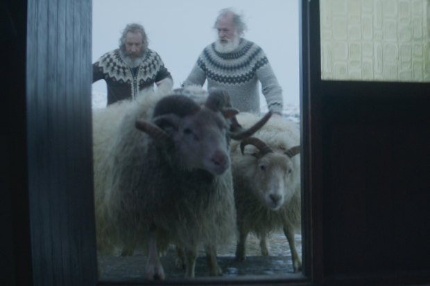 miranda richardson rams