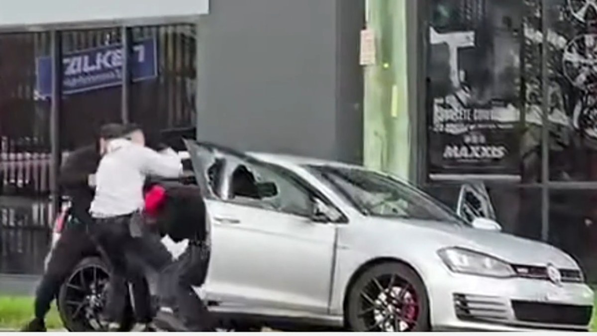 Cabramatta West arrest: Driver pulled from car at gunpoint by police on ...