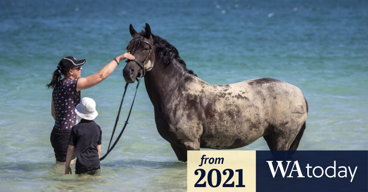 Wooroloo bushfires: Jessica Blackwell describes the destruction of a dream