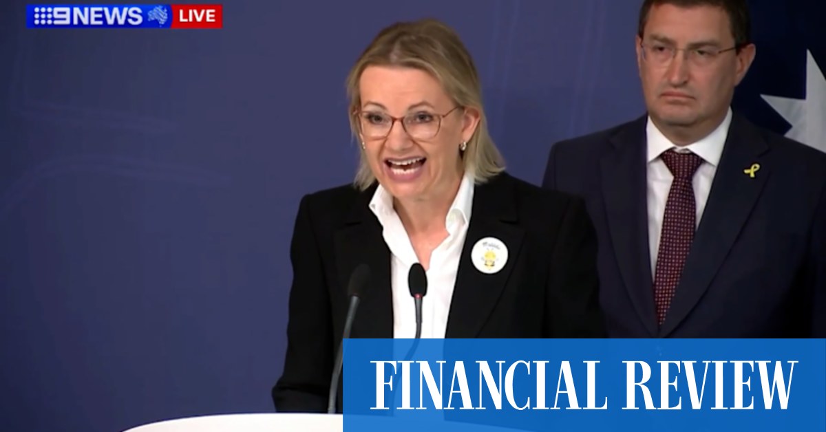 Bondi shooting: Sussan Ley lashes Penny Wong over massacre response in ...