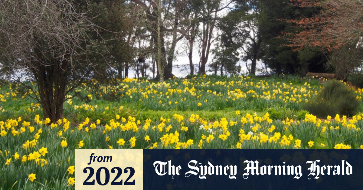 Spring gardens to visit in Sydney and NSW
