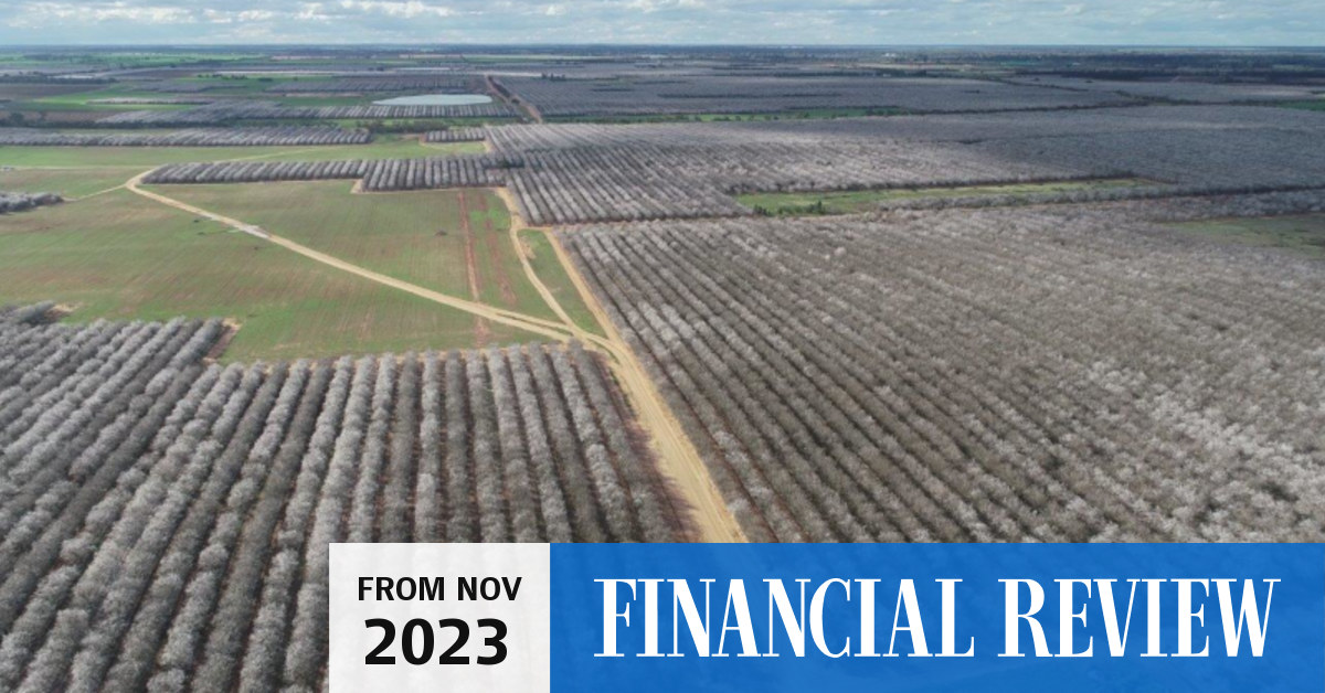 ASX SHV: Select Harvests swings to $114m loss as almond volumes, prices ...