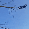 Ukrainian soldier escapes on e-bike delivered by drone