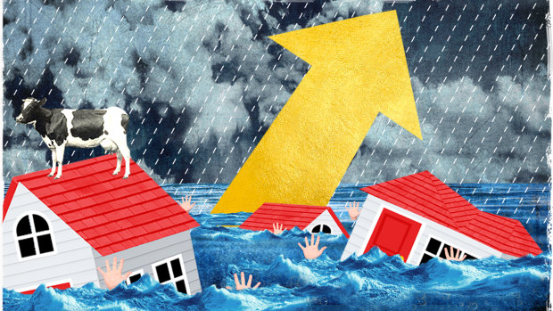 Wars, floods and pestilence: These horrors do have an economic upside