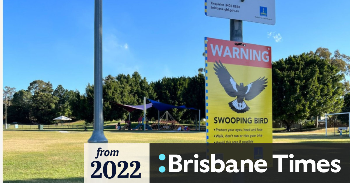 Alert over swooping birds a year after death of baby girl